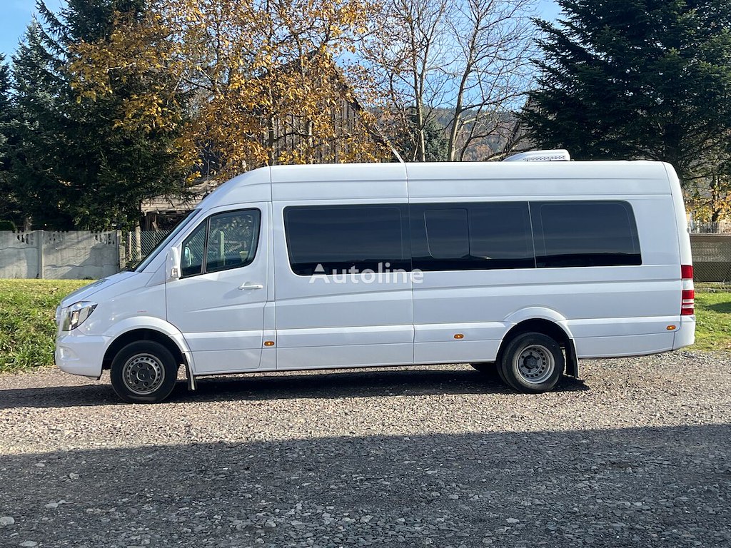 Mercedes-Benz 516 putnički minibus