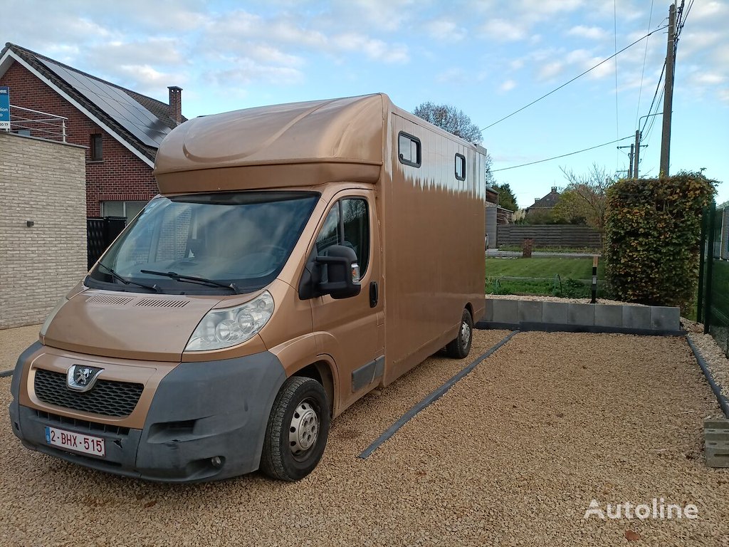 Peugeot boxer kamion za prevoz konja