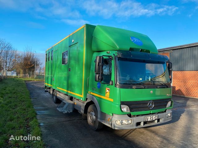 Mercedes-Benz Pferdetransporter kamion za prevoz konja