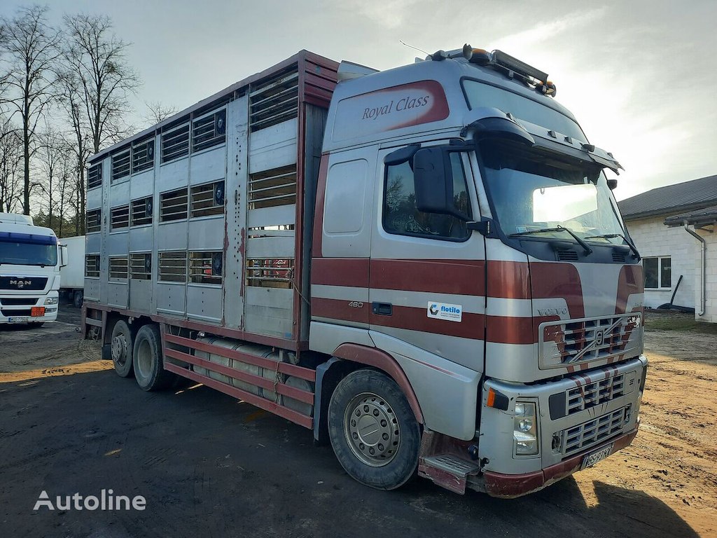 Volvo FH12 kamion za prevoz stoke