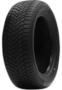 Double Coin DASP + 205/55 R16 94V XL