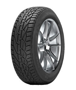 Riken Snow 205/55 R16 94H XL