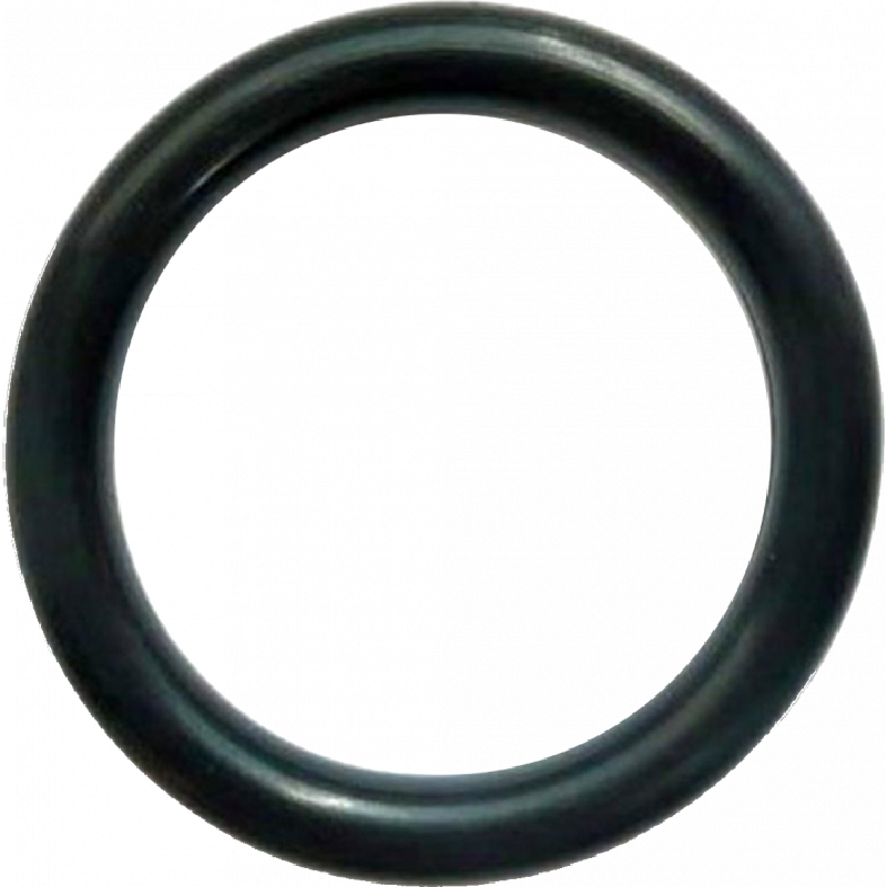 ORING D/S 581/6.6 MM MITAS