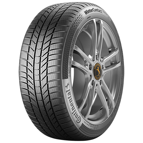 285/45 R22 CONTINENTAL WINTER TS870P 114V XL