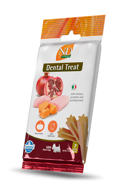 dental treat with chicken, pumpkin and pomegranate mini