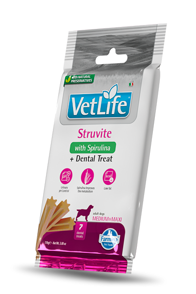 dental treat Struvite medium & maxi