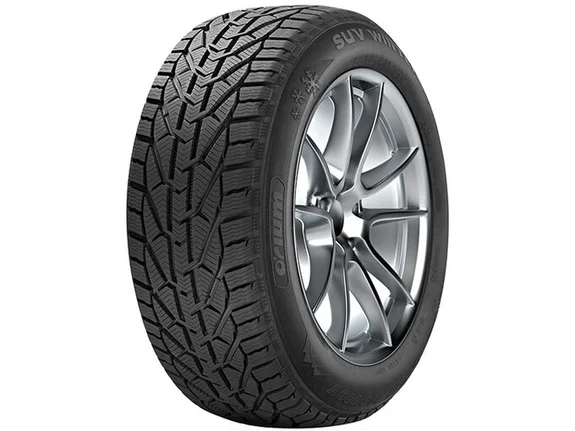 205/65 R15 Winter 94 T zimska guma