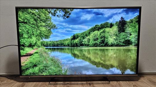 Panasonic 47" Japan FullHD garancija