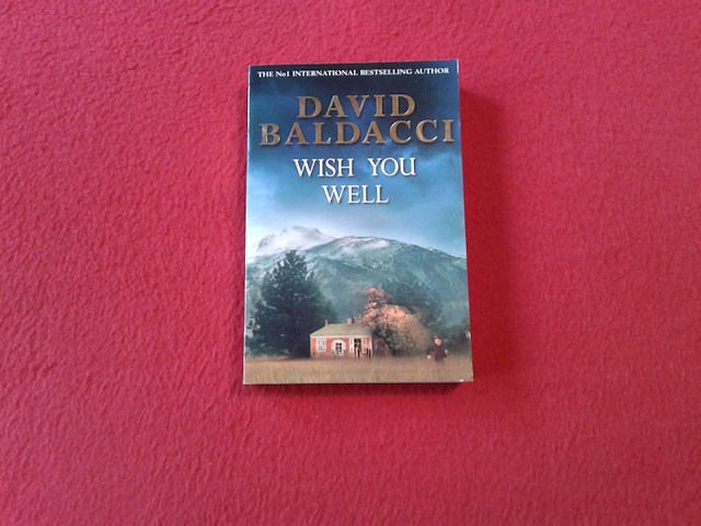 David Baldacci - Wish You Well