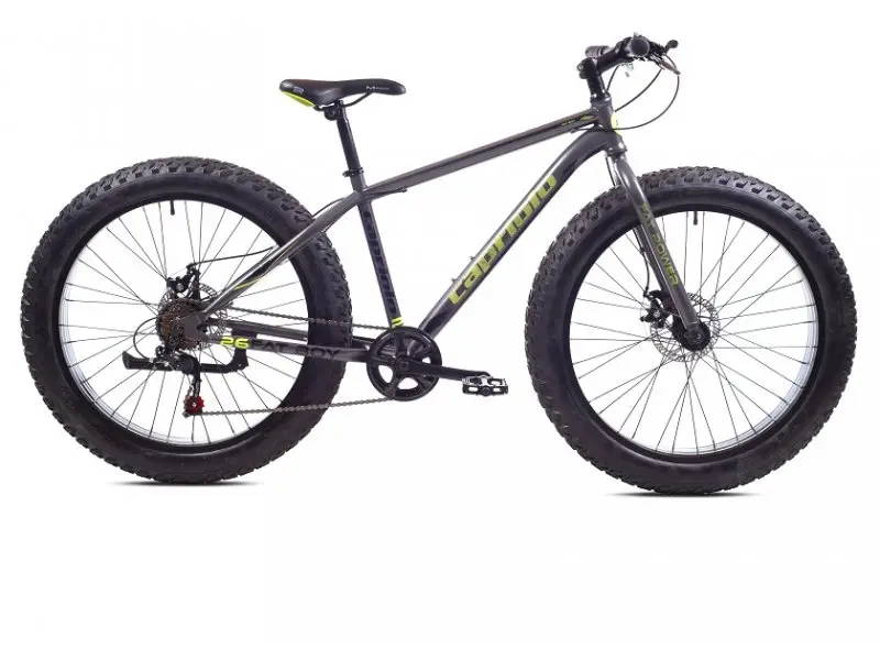 CAPRIOLO Bicikl MTB FATBOY 26''/7HT sivi