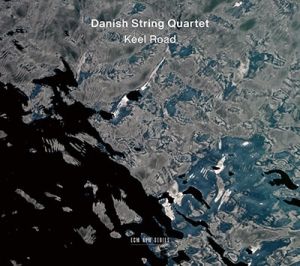 Danish String Quartet