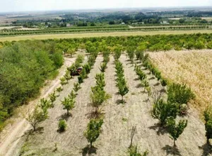 Prodaja Građevinsko zemljište - Novi Sad