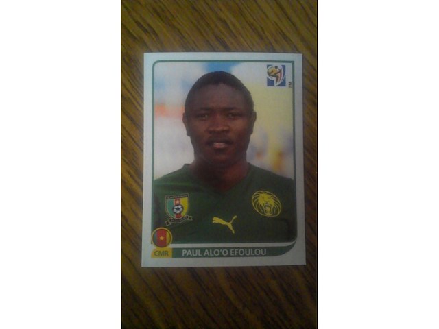 Panini FIFA 2010 J.Afrika sličica broj 407