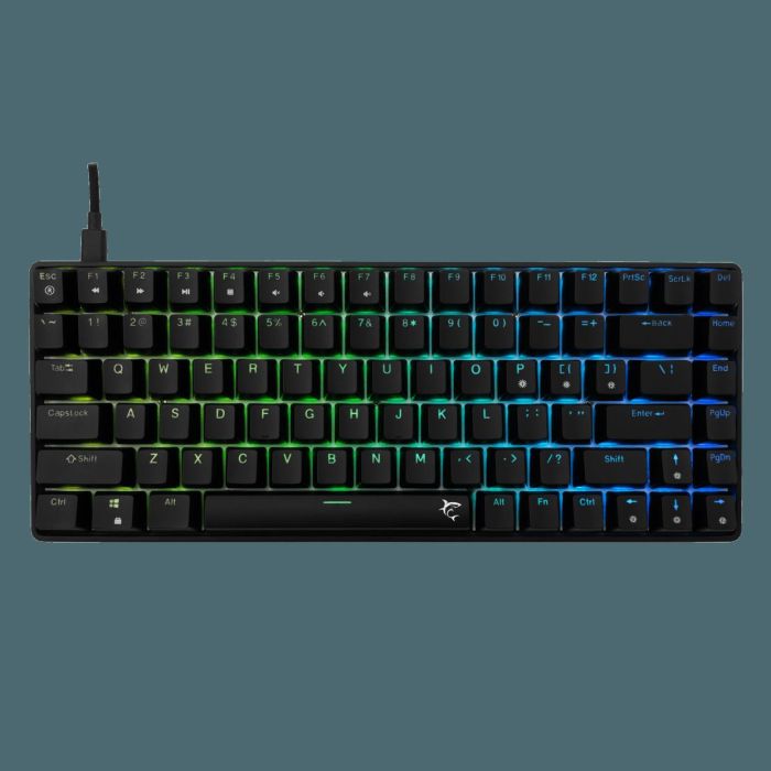 WS GK 005121 HAMACHI Black, Mechanical RGB - US