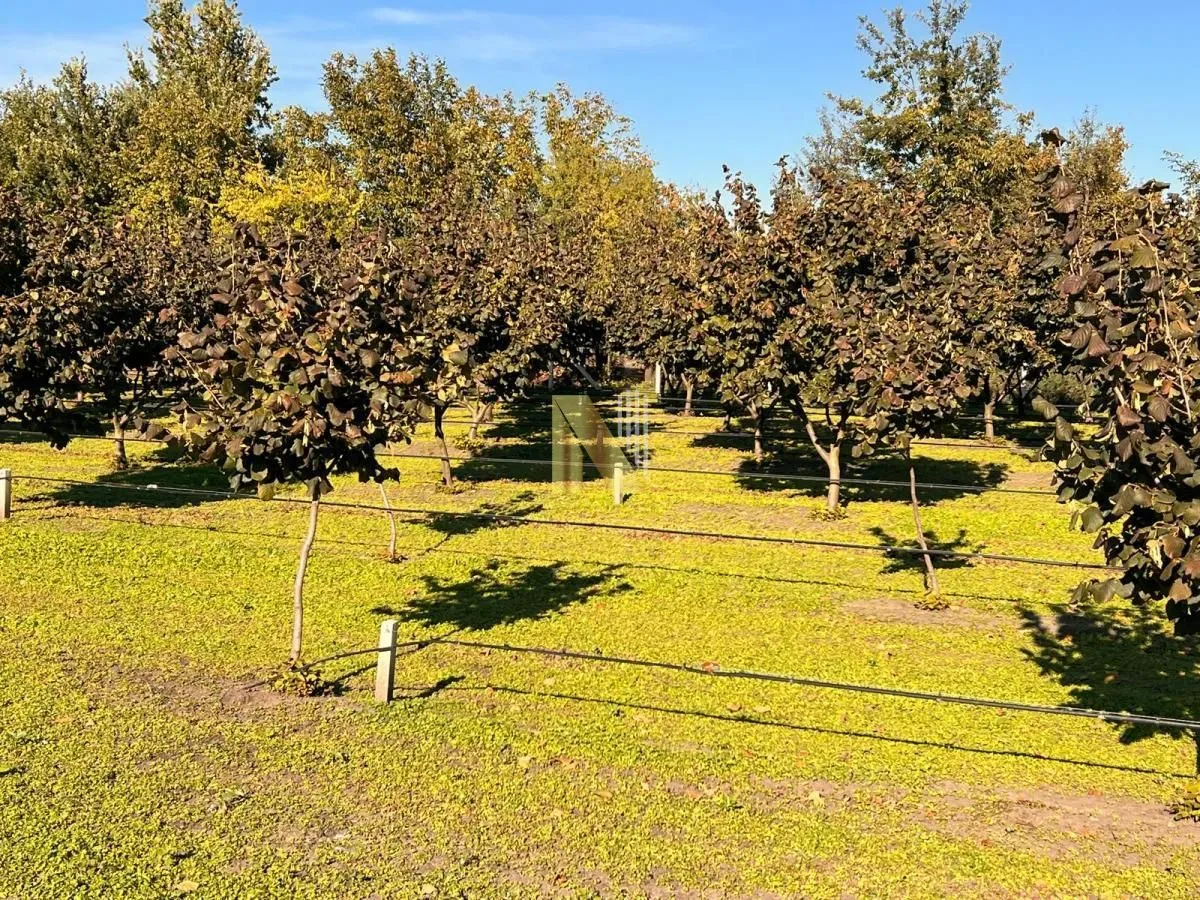 Prodaja, zemljište, 190m2, Kikinda