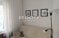 Novi Sad, Futoška, Futoška, 0.5, 20m2, 300EUR Pet friendly