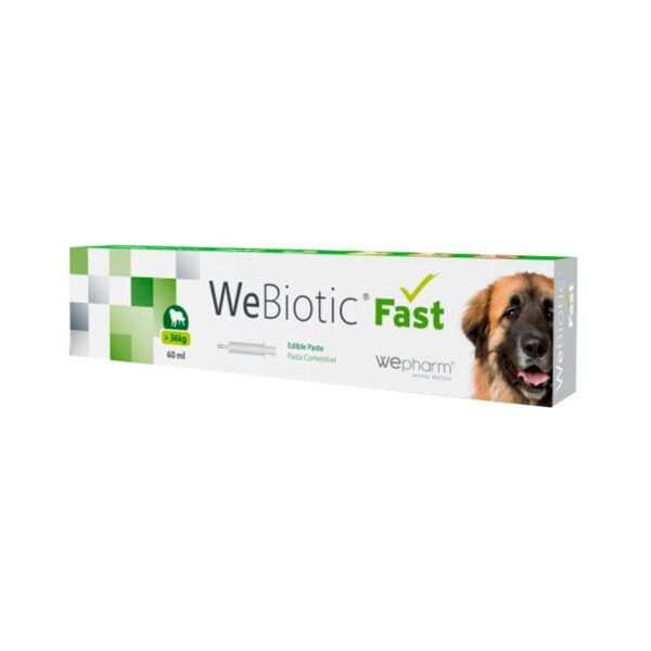 WePharm WeBiotic Fast pasta – 60 ml