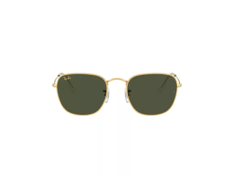 Ray-Ban Frank Naočare za sunce RB 3857 9196/31