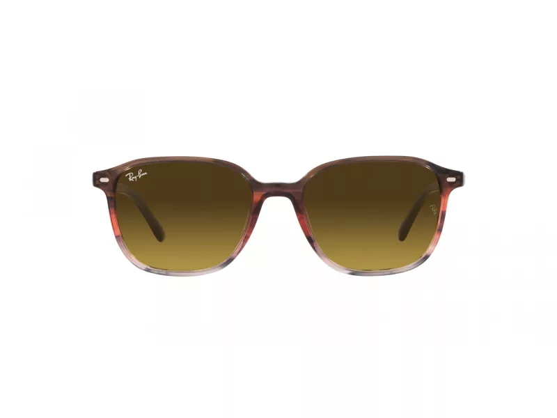 Ray-Ban Leonard Naočare za sunce RB 2193 138085