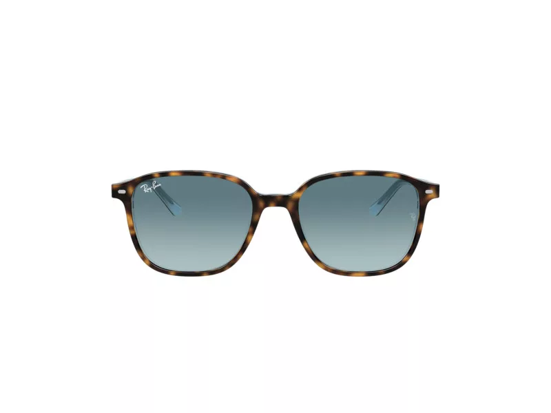 Ray-Ban Leonard Naočare za sunce RB 2193 1316/3M