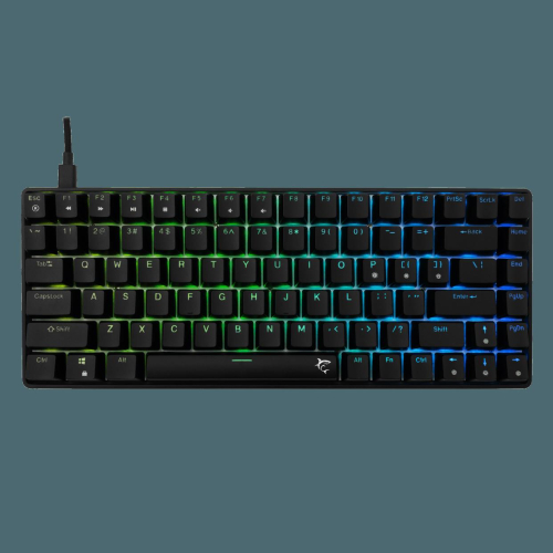 WS GK 005121 HAMACHI Black, Mechanical RGB - US