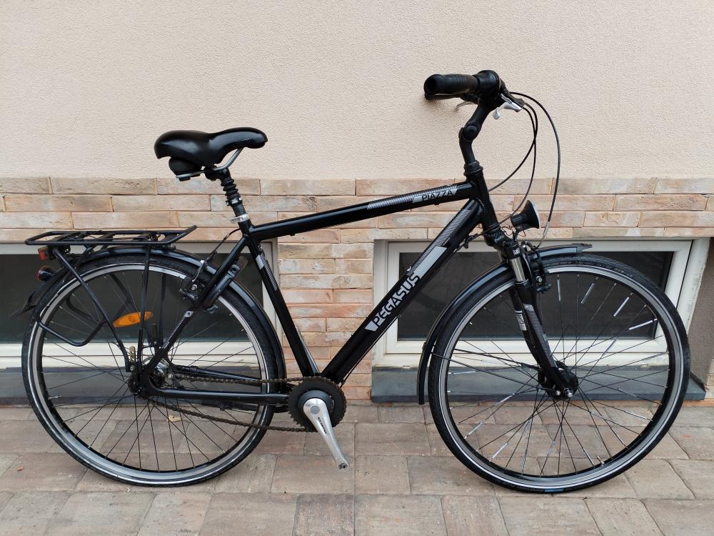 PEGASUS PIAZZA, 1x7 SHIMANO NEXUS, Vel. 53cm