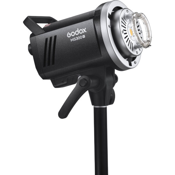 Godox MS300-V
mini glava 300w/s