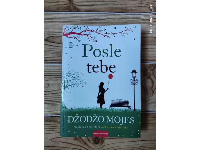 Posle tebe-Dzodzo Mojes