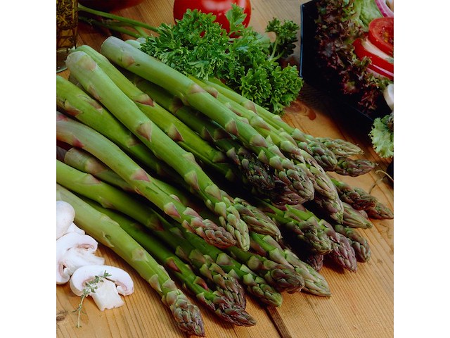 Asparagus argenteuil (seme) Spargala