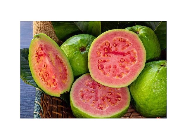 Psidium guajava - Guava (seme)