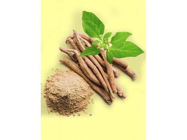 Withania somnifera - Ashwagandha ( Indijski ginseng ) s