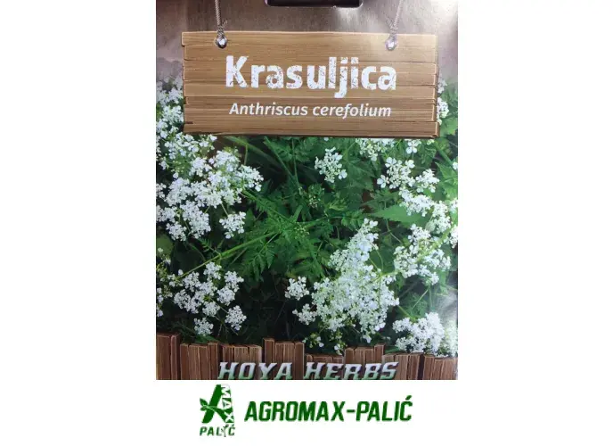 Seme začina Krasuljica 10 g