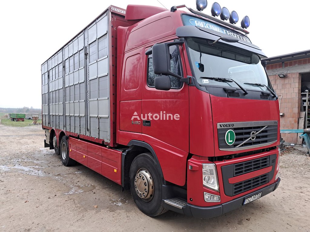 Volvo Fh 460 kamion za prevoz stoke