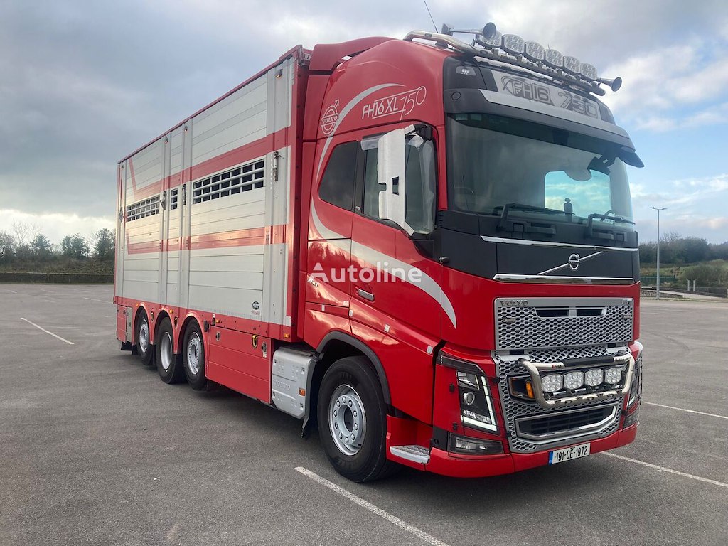 Volvo FH16 750 kamion za prevoz stoke