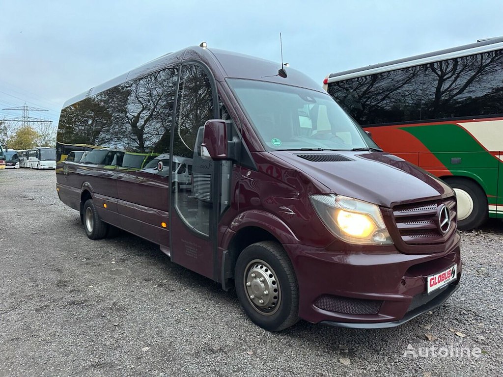 Mercedes-Benz Sprinter 519 putnički minibus