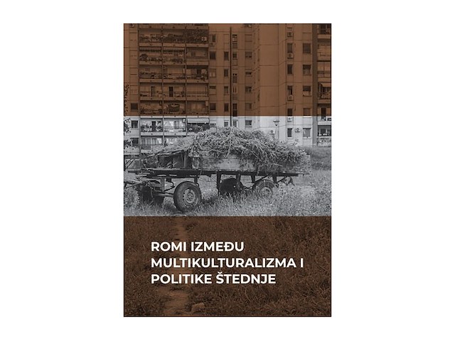 Romi između multikulturalizma i politike štednje