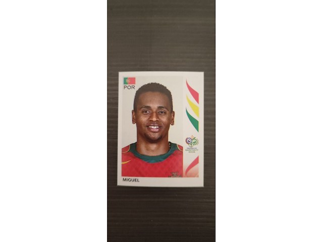 Panini FIFA 2006 Germany sličica broj 287