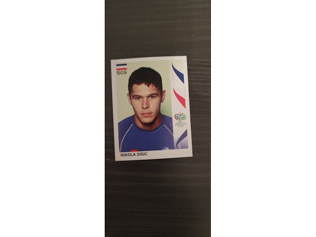 Panini FIFA 2006 Germany sličica broj 225