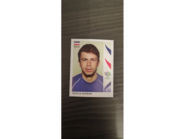 Panini FIFA 2006 Germany sličica broj 222