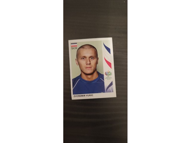 Panini FIFA 2006 Germany sličica broj 221