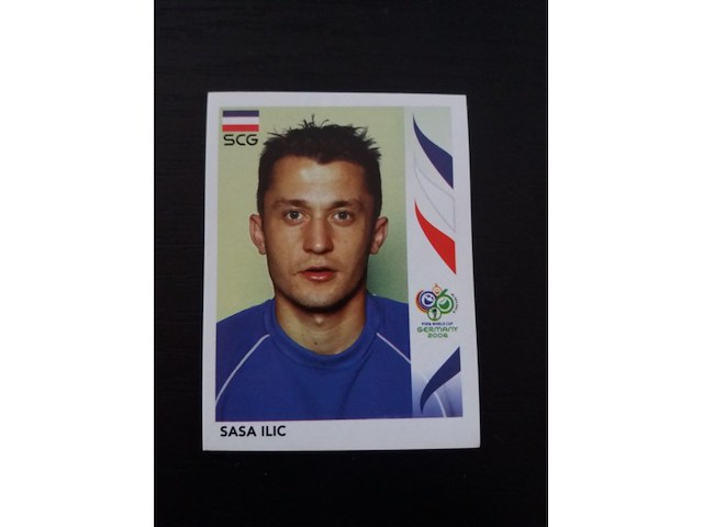 Panini FIFA 2006 Germany sličica broj 217