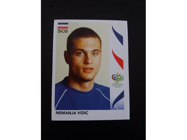 Panini FIFA 2006 Germany sličica broj 213