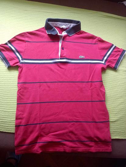 Lacoste Polo Majica M