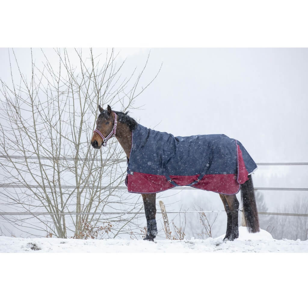 Ćebe Tyrex Turnout High Neck 1200D Equitheme