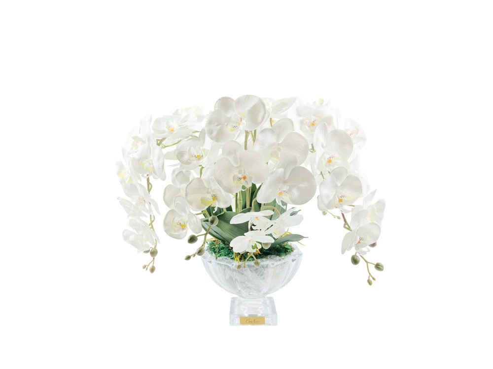 Cote Noire Centerpiece Orchids – Difuzer