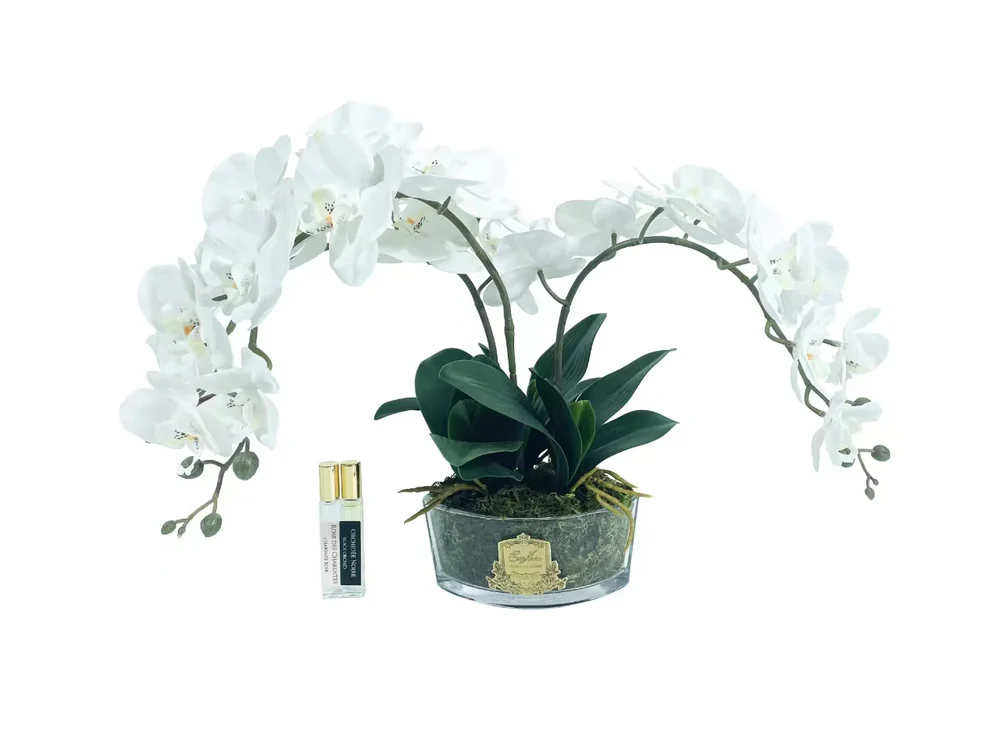 Cote Noire Oval Orchids – Difuzer