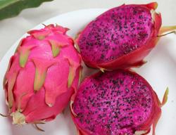 Dragon fruit ljubicast (seme) Zmajevo voce