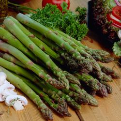 Asparagus argenteuil (seme) Spargala