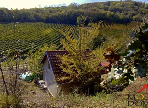 Prodaja Vikendica - Sremski Karlovci