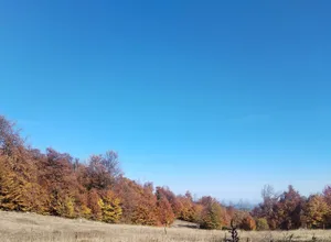 Prodaja Ostale nekretnine - Okolno mesto, Mokra gora